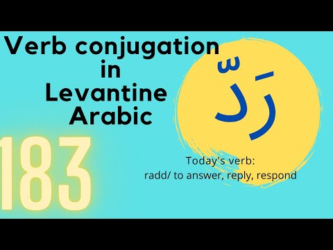 Conjugating the verb to reply to respond on all tenses in Levantine Arabic| No 183 ردّ