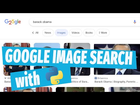 Do a google image search with python!