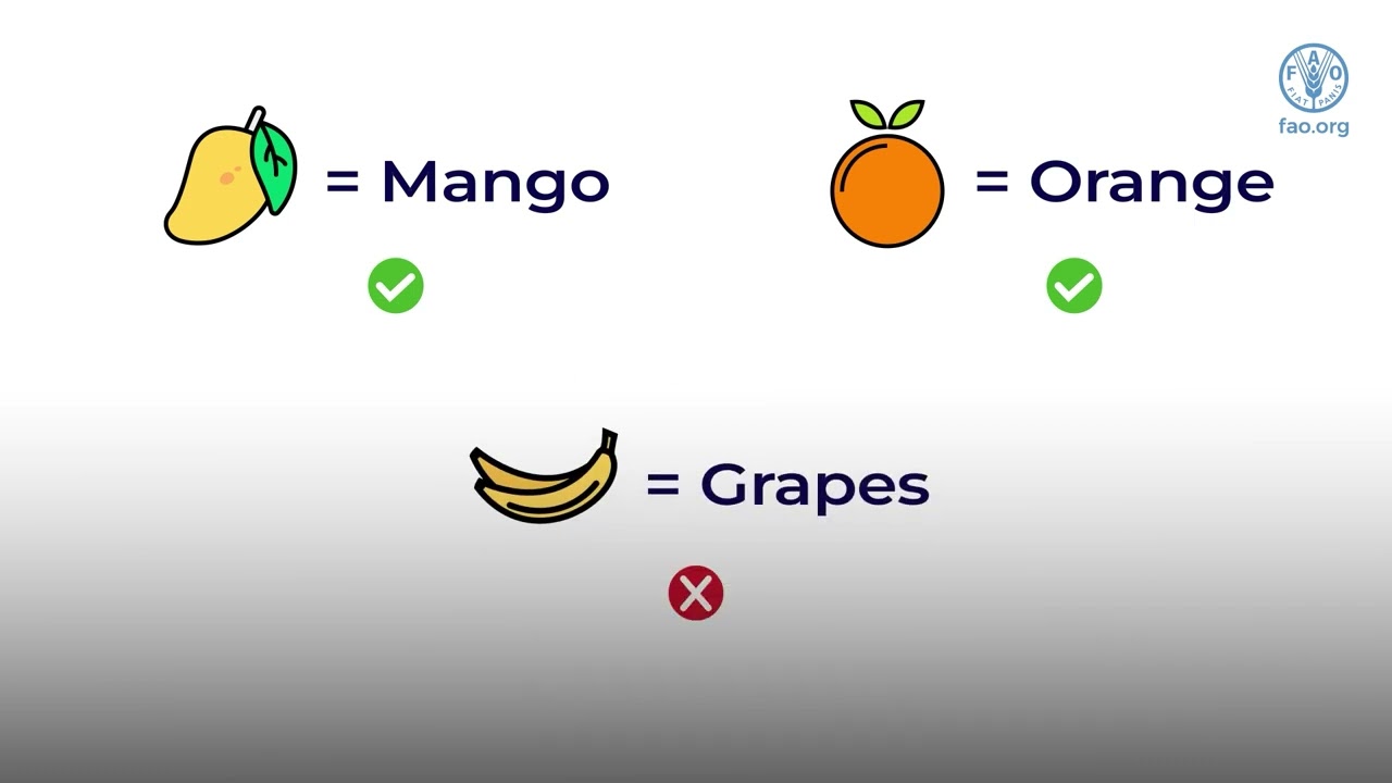 Interoperability Framework: Semantic interoperability