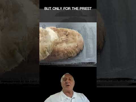 The Bible says in Matthew 12:1-8 [Lord of the Sabbath]