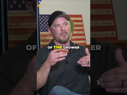 Maximizing Efficiency: Connecting Growers and Companies for Success