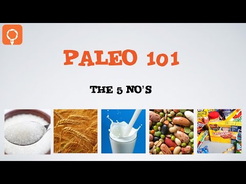 Getting Started on Paleo - Paleo 101