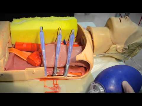 Thoracotomy Simulation