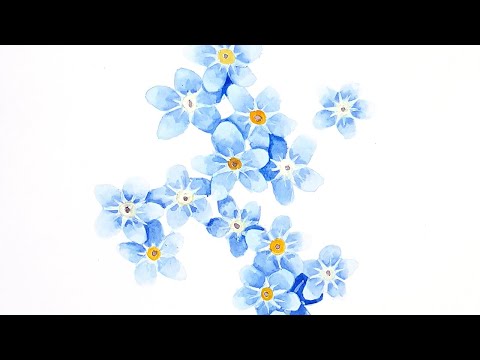 forget-me-not / watercolour time lapse