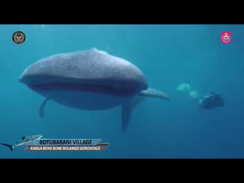 Desa Wisata Botubarani