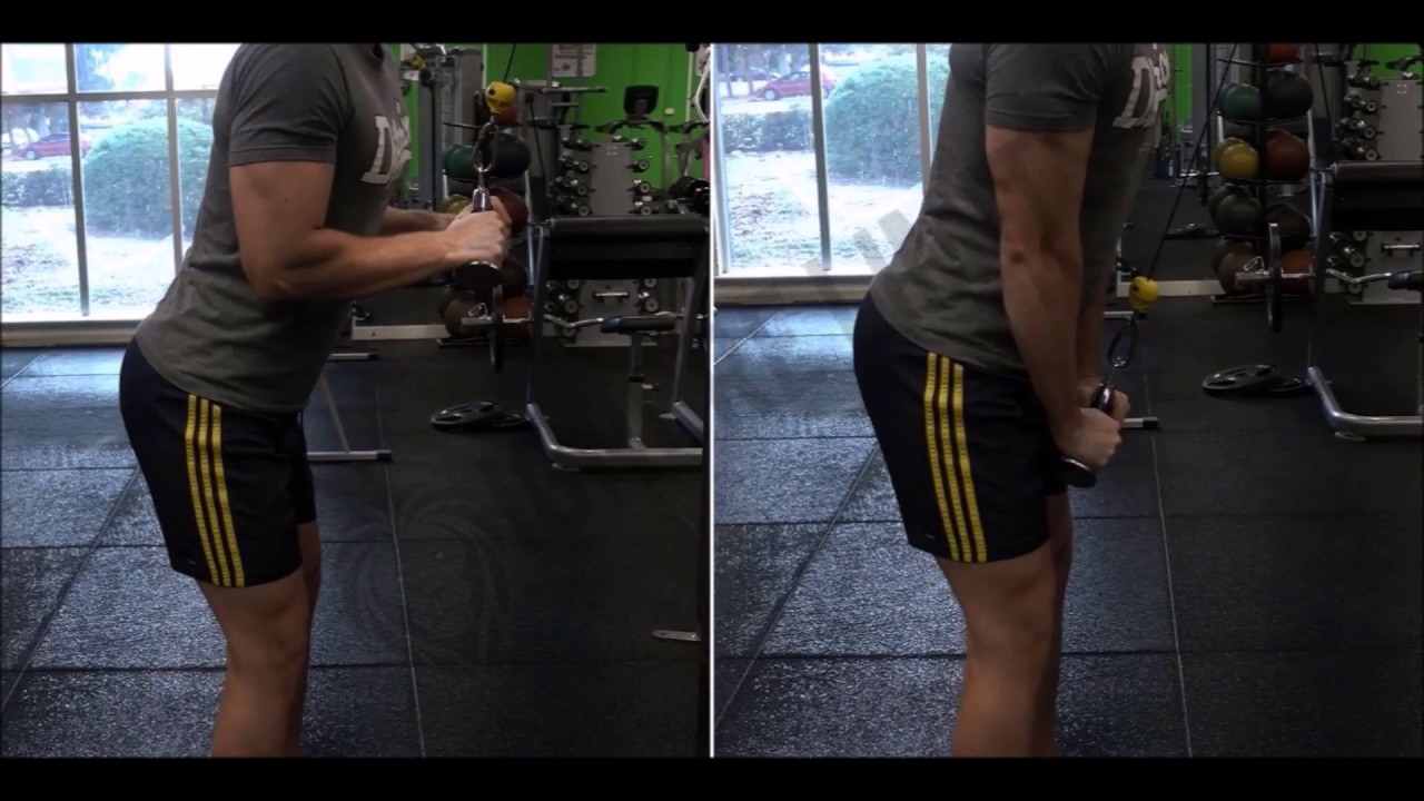 How To: V Bar Triceps Pushdown