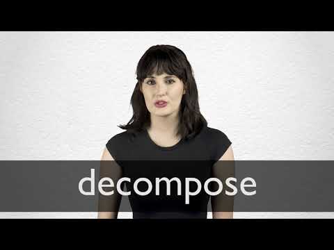 How to pronounce DECOMPOSE in British English