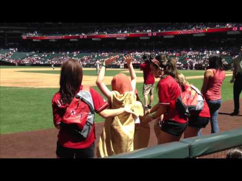 Rally-Back 101 | Arizona Diamondbacks