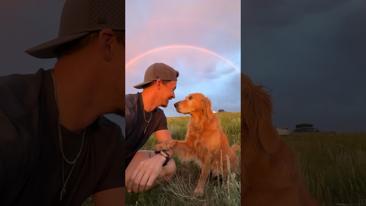 Seeing a full rainbow at sunset with my dog #goldenretriever