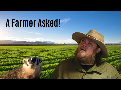 How Long Do Badgers Live?