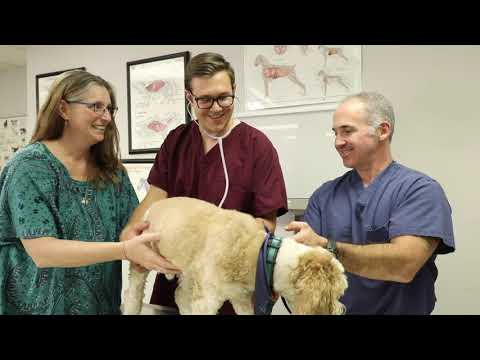 Veterinary Technology Program at Gwinnett Tech