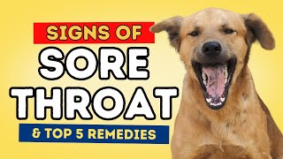 😻 Can a cat with tonsillitis have its tonsils removed? - CatVisitor.com