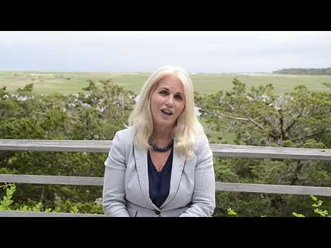 Sea Blue Company Elevator Pitch 6 7 20