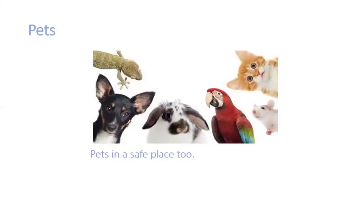 Loop Theatre Home Workshop Advice and Guidance