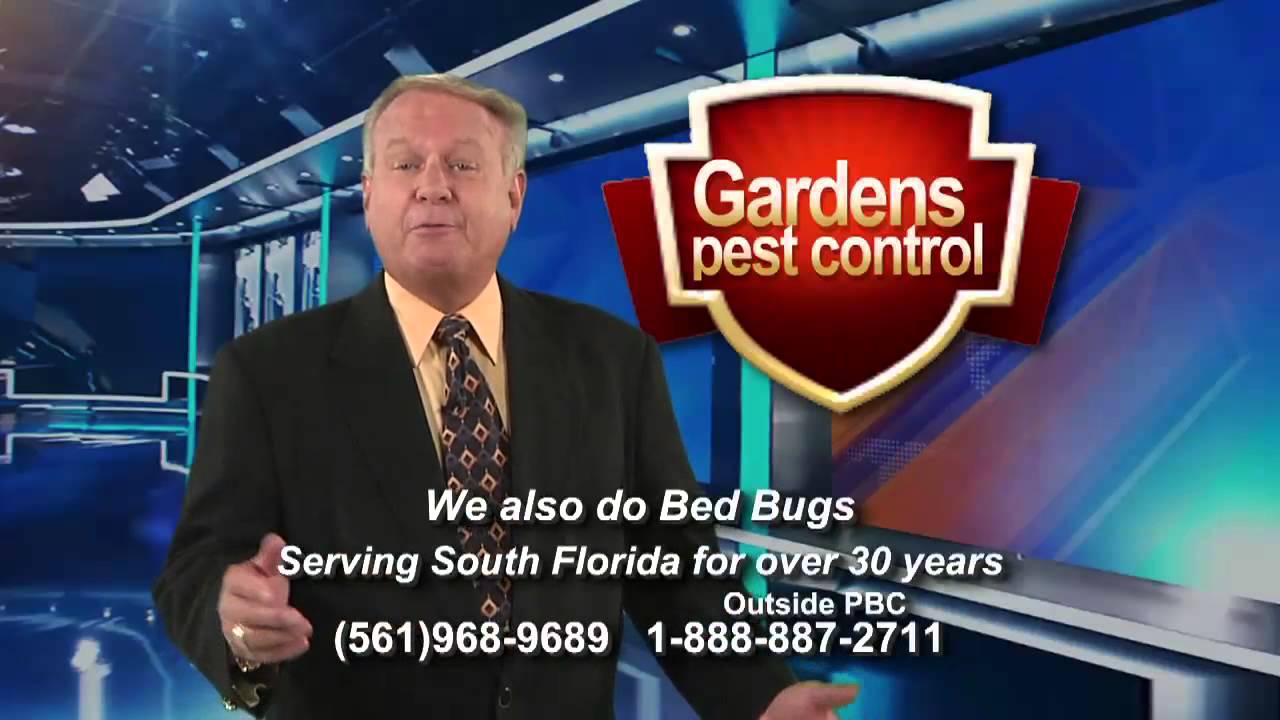 2015Termites1