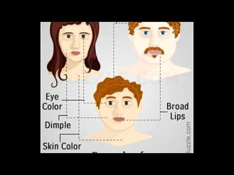 Dominant and Recessive Traits in Humans
