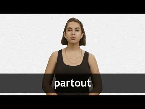 English Translation of “PARTOUT” | Collins French-English Dictionary