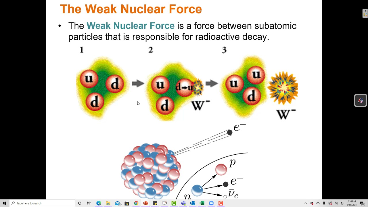 21.3 Nuclear Structure and Stability