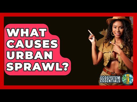 What Causes Urban Sprawl? - Ecosystem Essentials