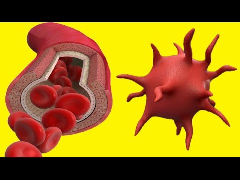 Platelet Count: What High Or Low Levels Mean?