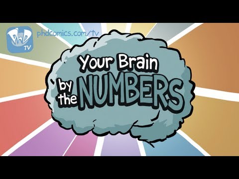 Your Brain: By the Numbers [Video] | i-Biology