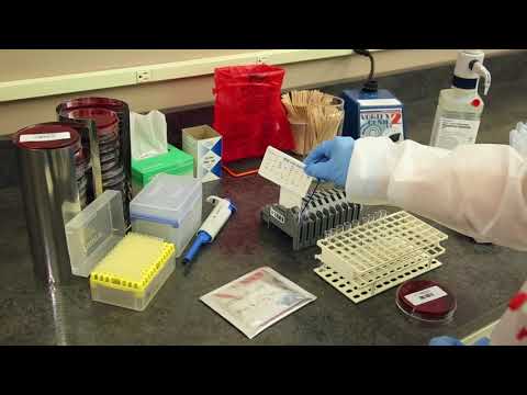 Microbial Identification System at Best Price in India