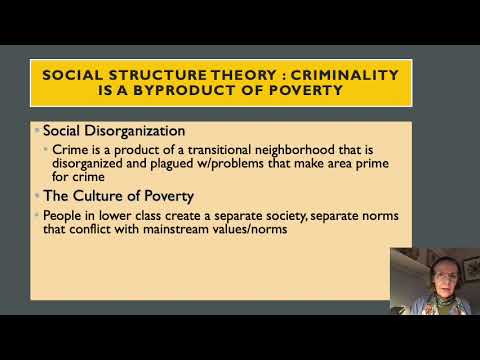 Theories of Criminal Behavior: Sociological Theory