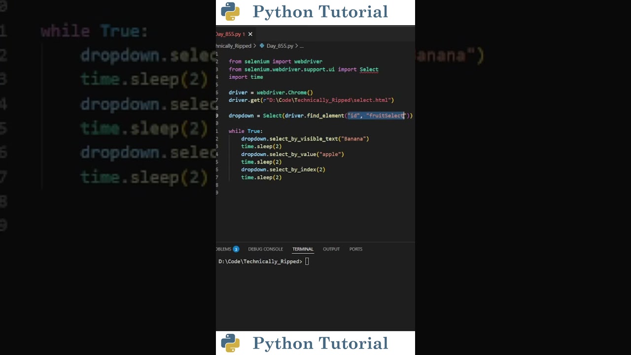 Pick Dropdown Options with Selenium | Python Tutorial