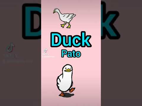C贸mo se dice pato en ingl茅s. DUCK