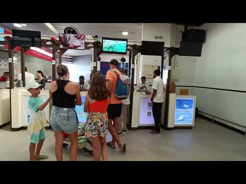 Full Hotels/Resorts Counters Area in Male, Maldives, Velana International Airport (MLE)