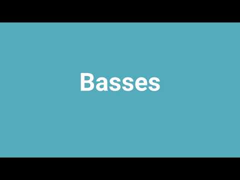 'Basses' Meaning and Pronunciation