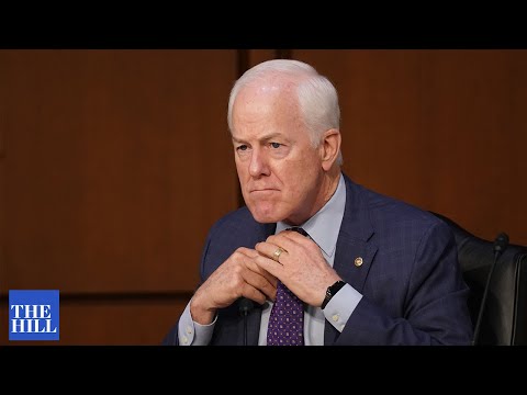 John Cornyn CALLS OUT Kamala Harris over inaction on the border crisis