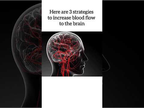 "3 Effective Tips to Prevent Alzheimer's and Boost Brain Health" @DrAshishSachan