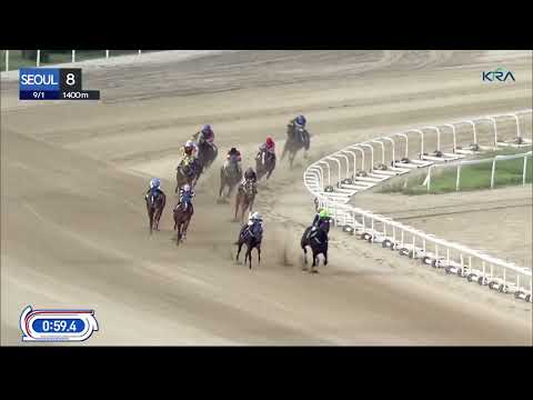 (Seoul) 2024.09.01 R8 Class 4 (1400M) Handicap
