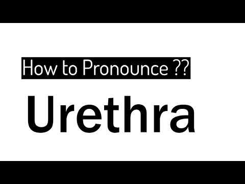 How to Pronounce Urethra Correctly
