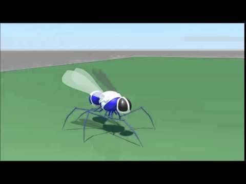 Fly animation | animbuzz