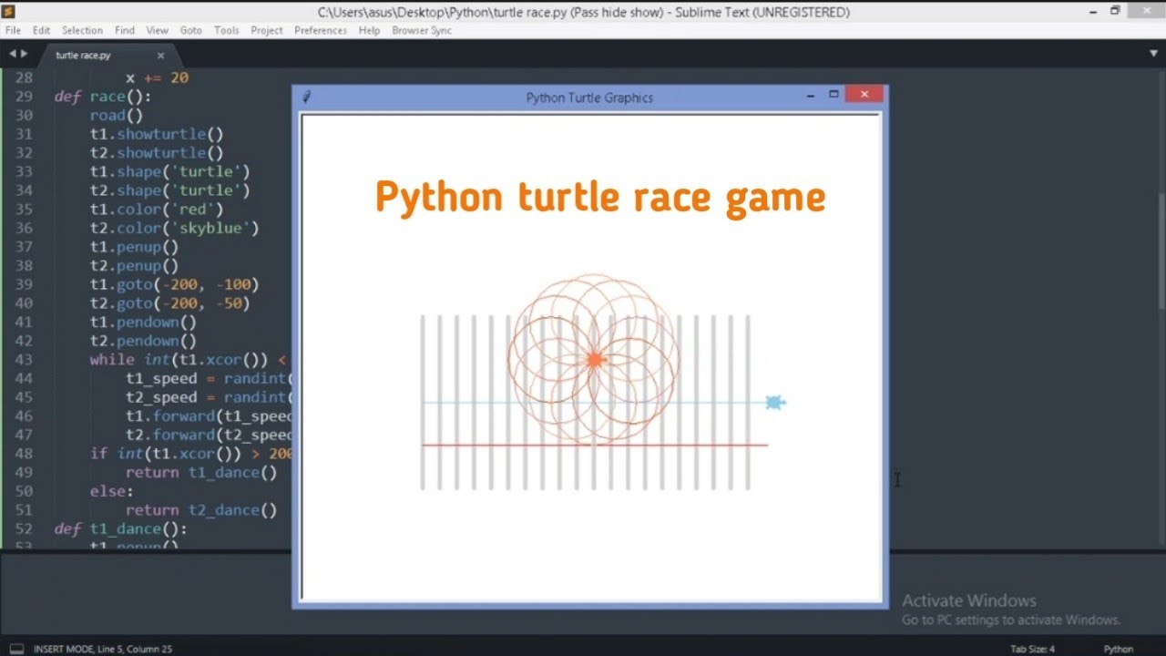 Python Turtle Race Game  | Python Tutorial | Python for beginners