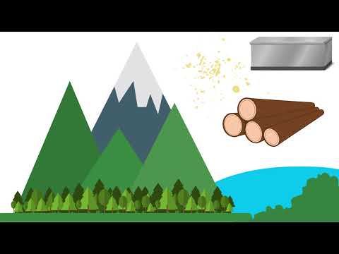 Interdependence | Economics | ThatEconGuy