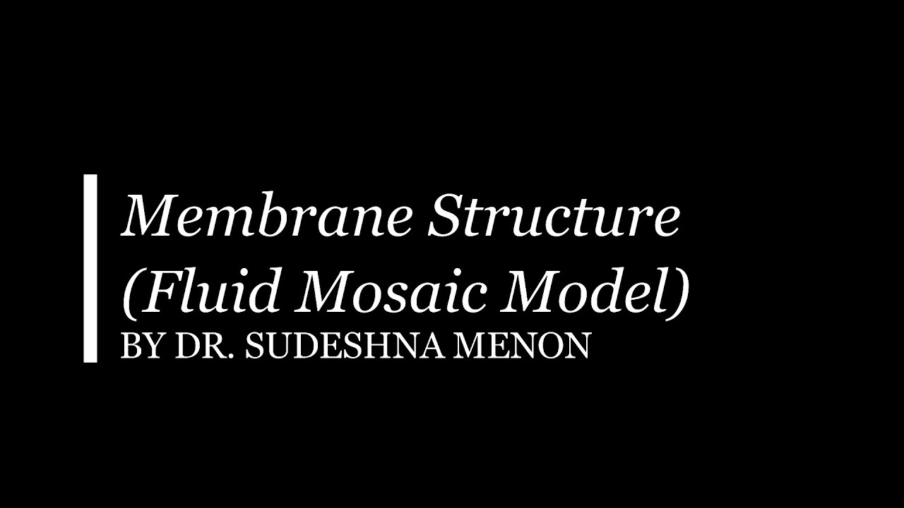 Membrane Structure (Journey to Fluid Mosaic Model)