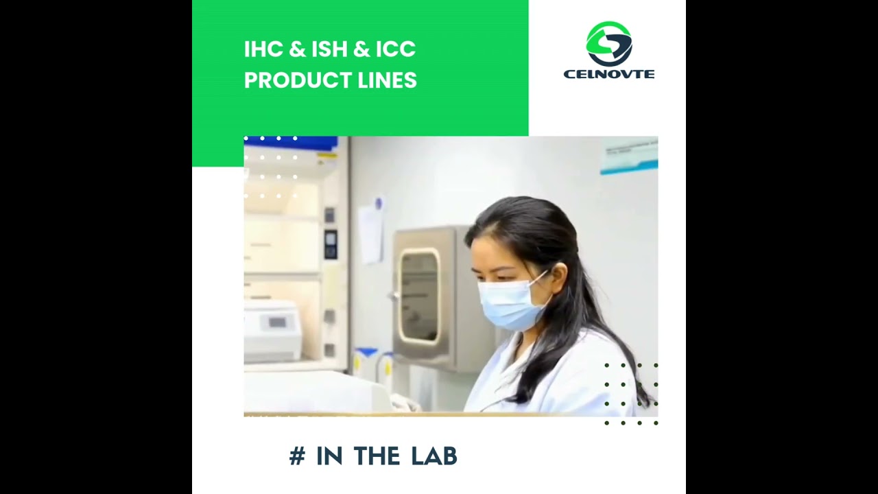 Behind the scenes at Celnovte!