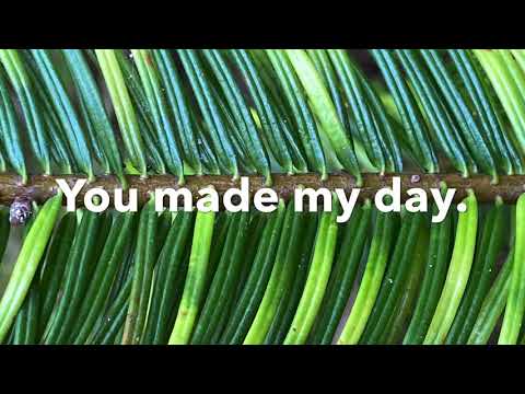 How To Say: You Made My Day.|English Express
