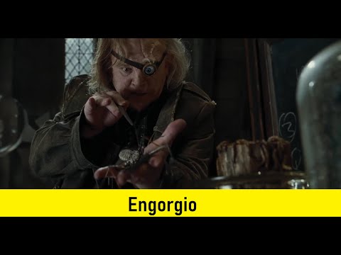 Harry Potter Spell Engorgio