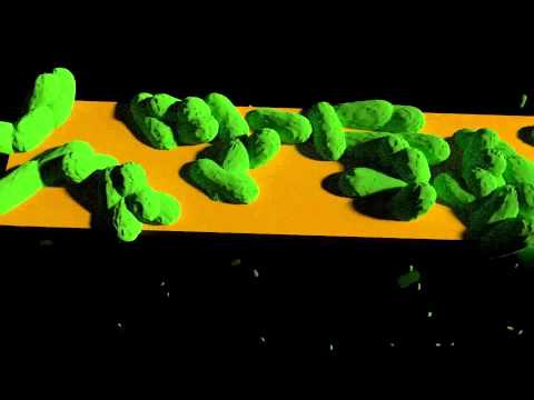 Using the cantilever to detect life on other planets