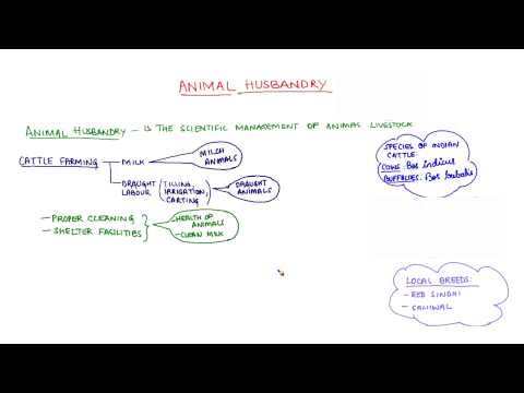 Animal Husbandry