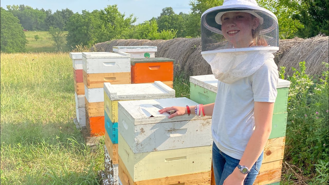 Good Honey Flow And Young Beekeepers🐝