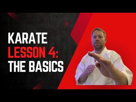 Karate Lesson 4: The Basics