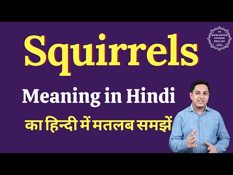Squirrels meaning in Hindi | Squirrels ka matlab kya hota hai | English vocabulary words