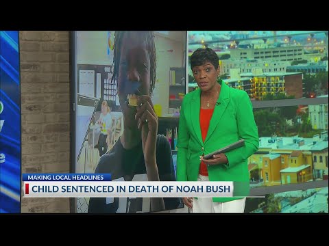 Child sentenced in death of Noah Bush