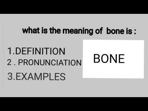 What is the meaning of bone || Definition of the bone || Bone meaning in English
