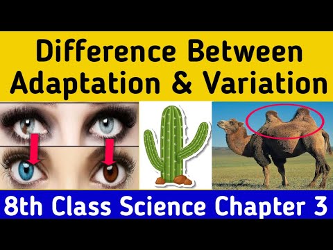 Difference Between Adaptation and Variation in Urdu/Hindi |8th Class Science| |Chapter 3|